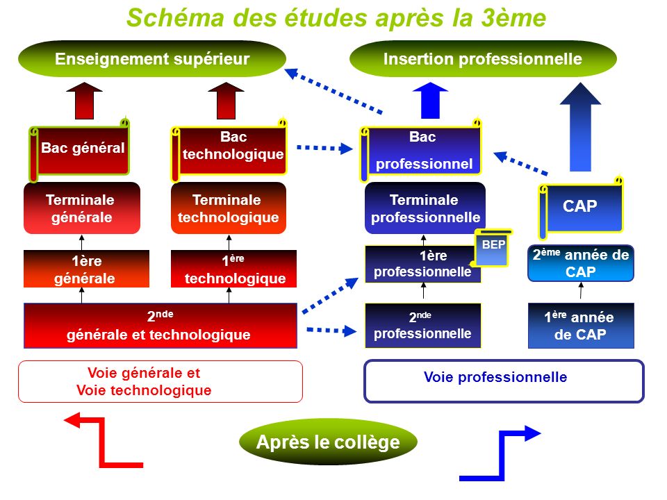 Schéma des études après la 3° - Collège Paul Eluard